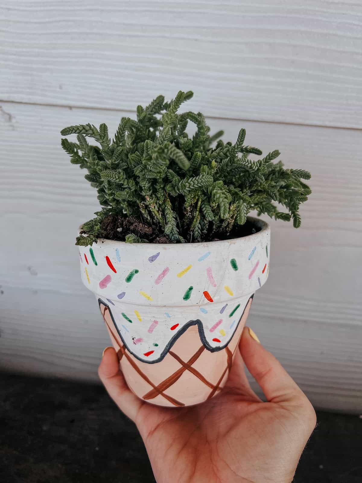 Plant Pot Design Ideas - Decoupage Design Ideas